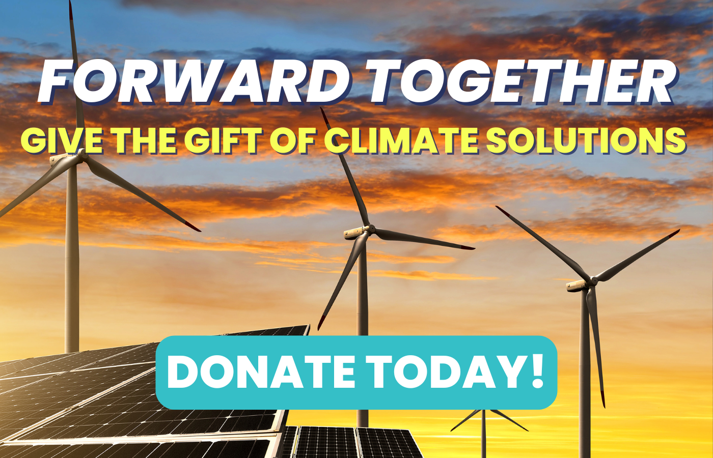 Learn How To Remove Invasive Vines - Chesapeake Climate Action Network