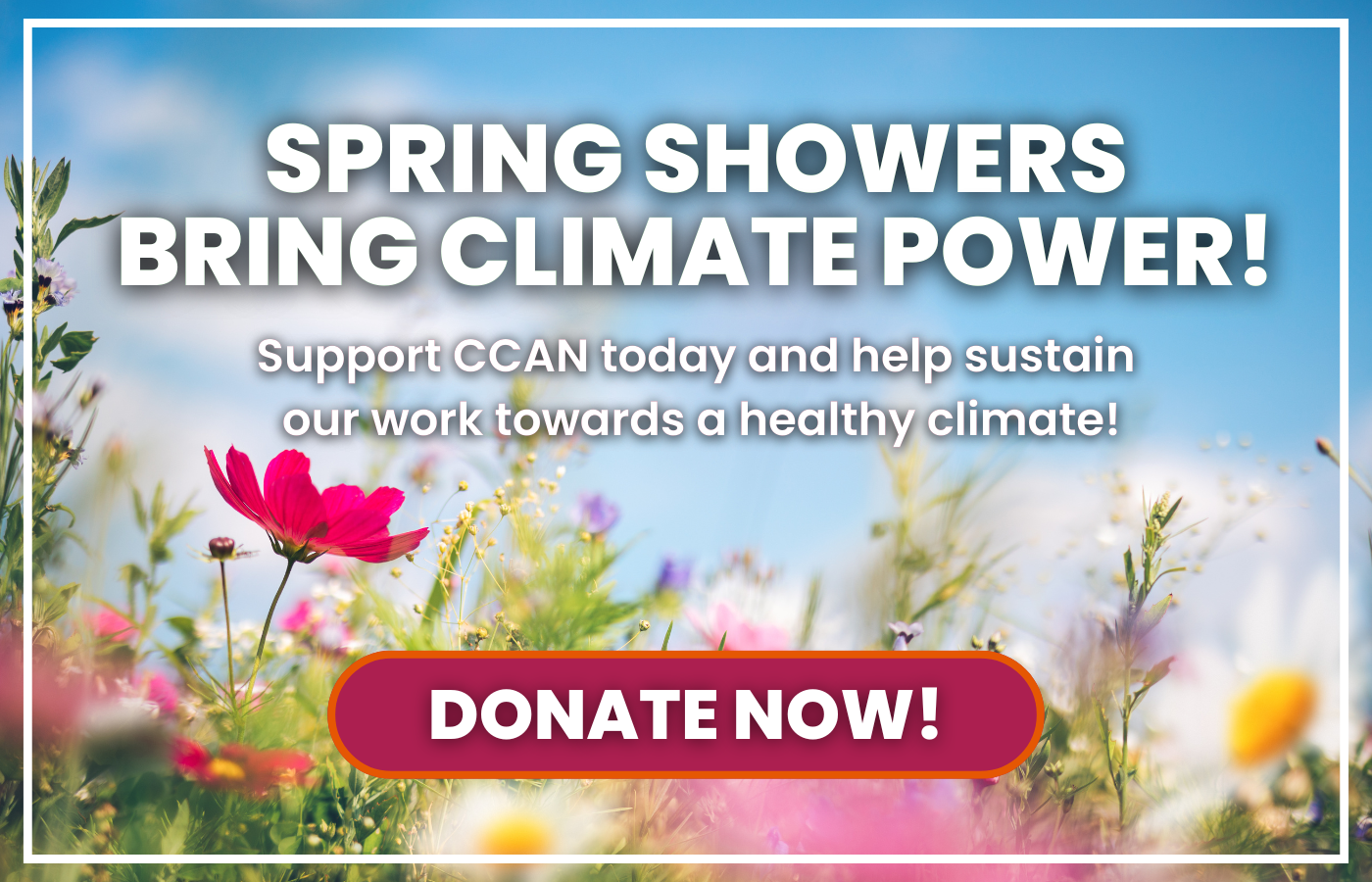 Home - Chesapeake Climate Action Network